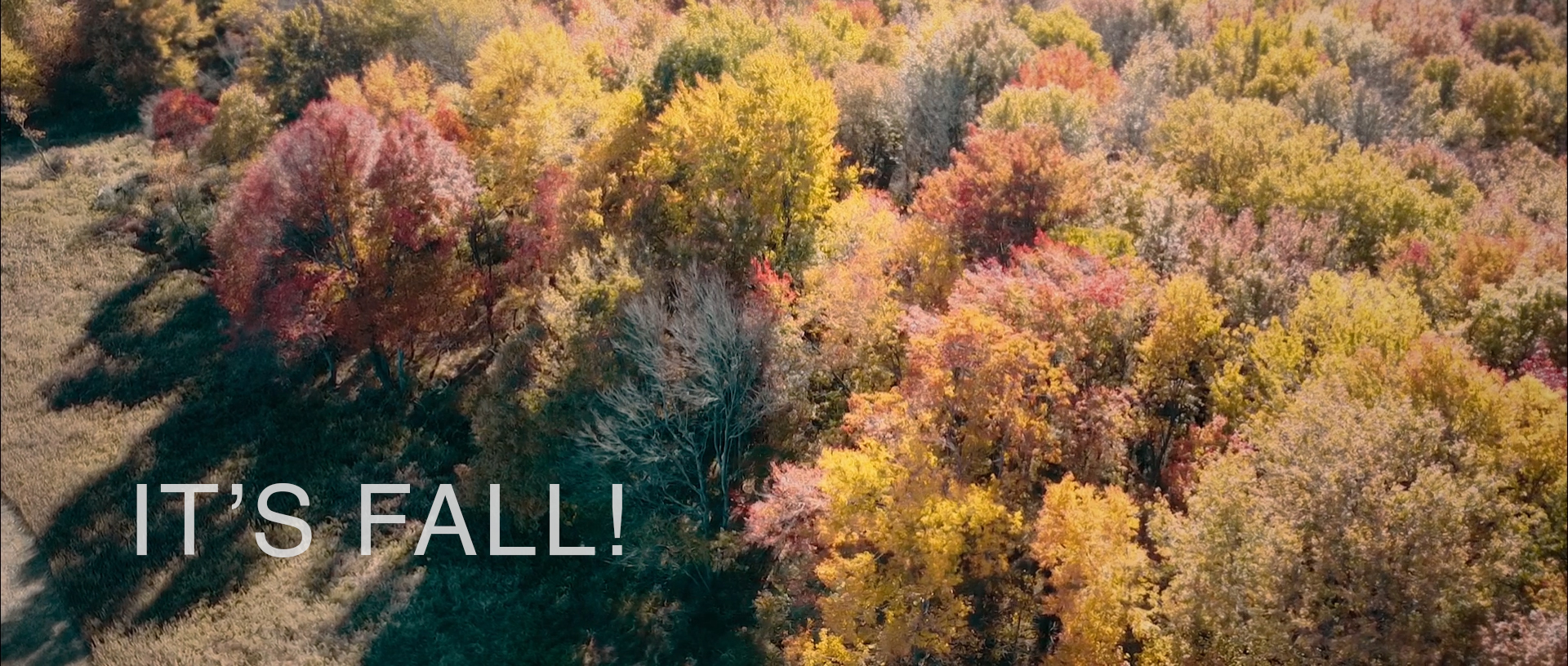 Enhancing Autumn Cinematography with the Power of After Effects 3D ...